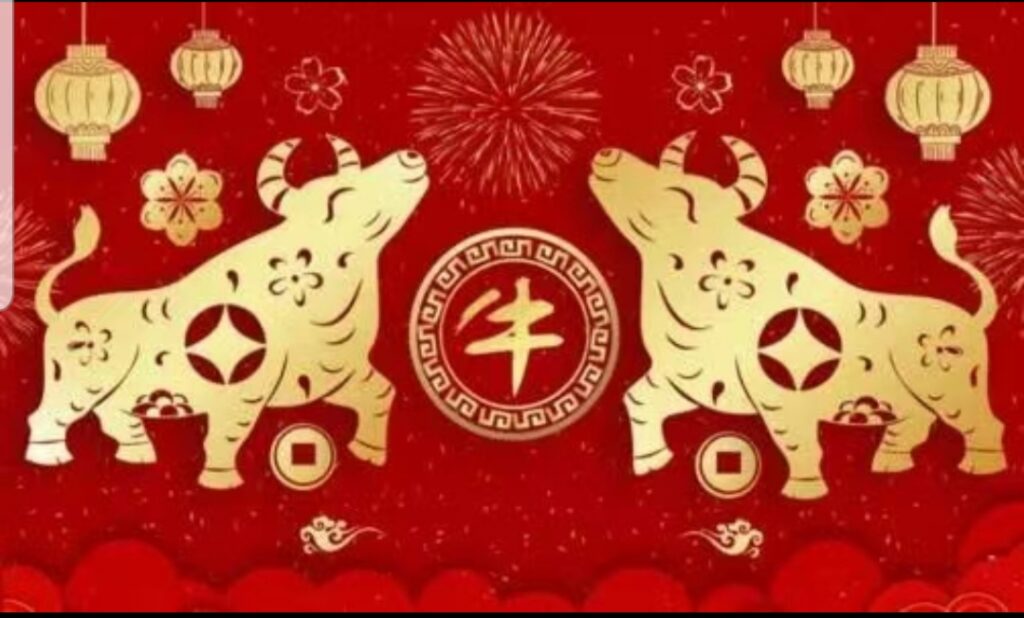 Ano Novo Chinês 2021 - Ano do Boi
